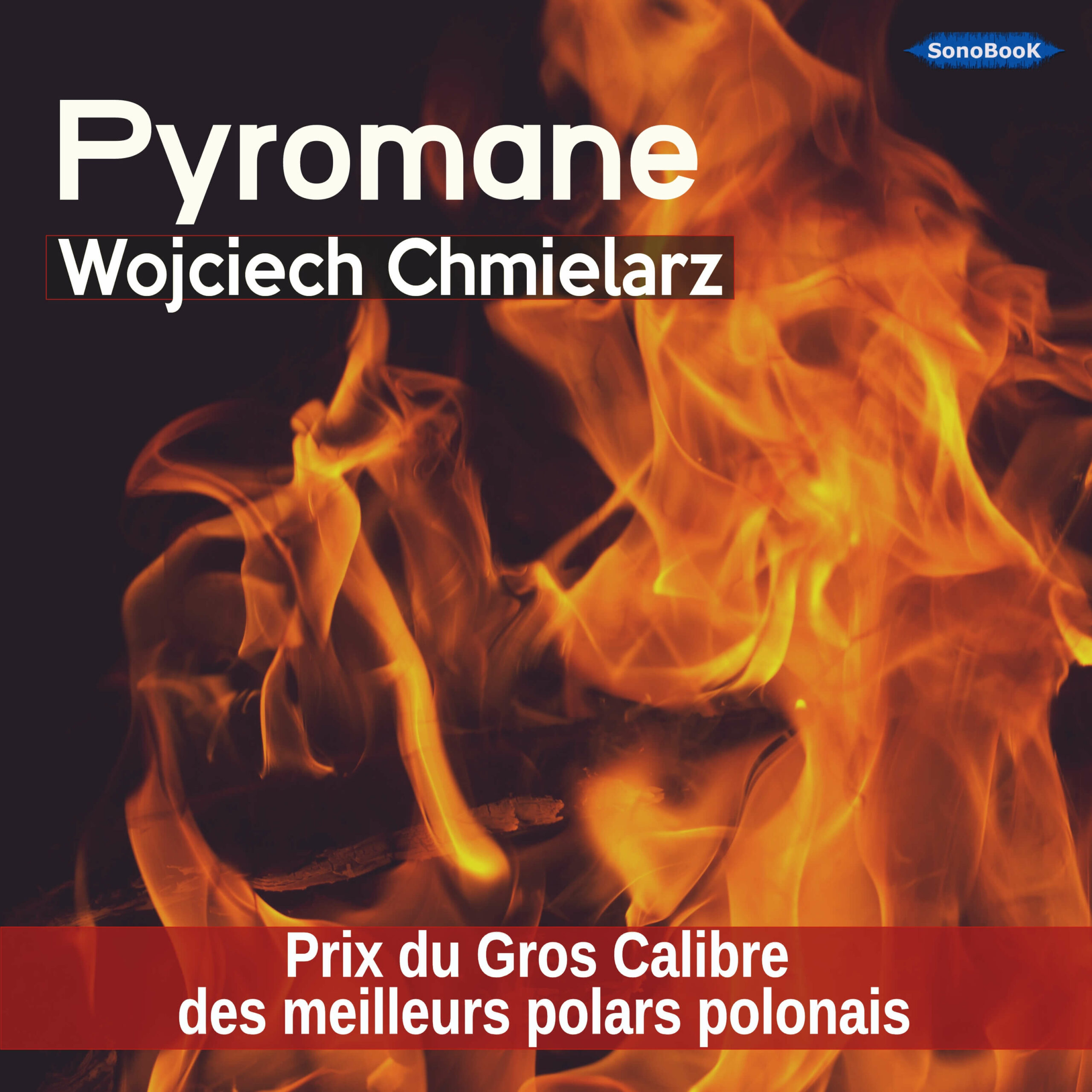 PYROMANE - Livres audio SonoBooK